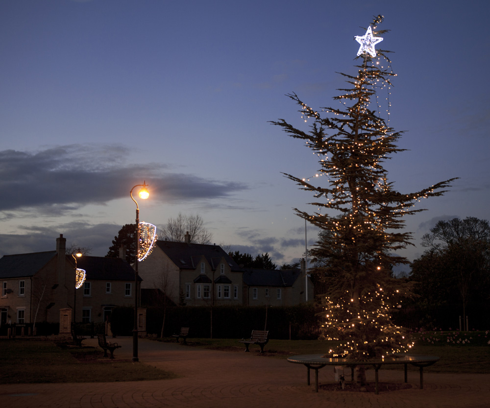 urban park christmas tree – Fairfield Matters