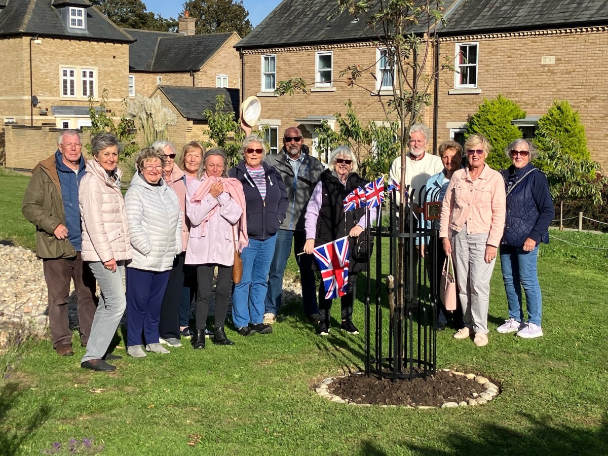 Fairfield WI unveils commemorative tree – Fairfield Matters