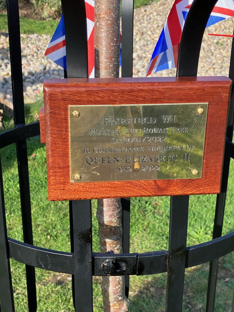 Fairfield WI unveils commemorative tree – Fairfield Matters